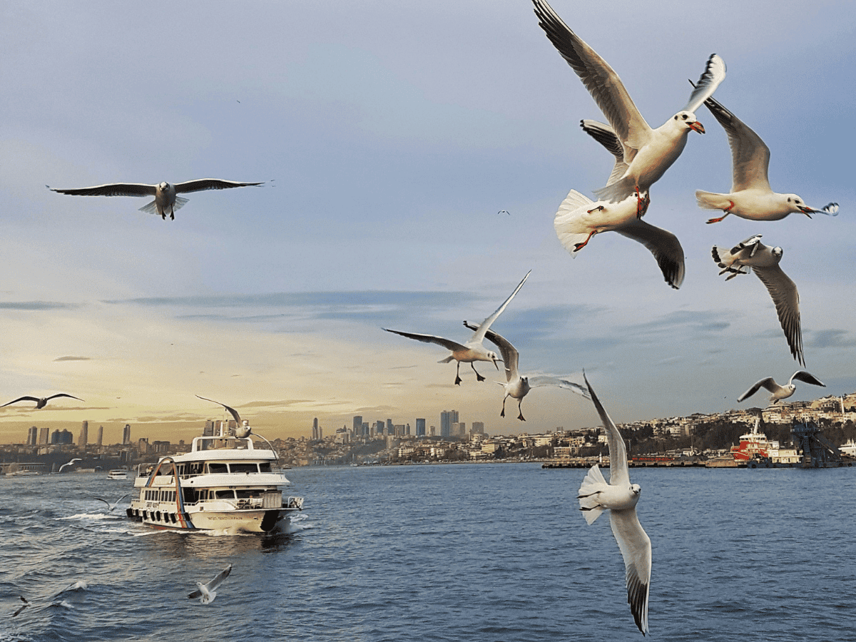 Bosporus-Boom: Istanbul eines der beliebtesten Reiseziele 2025 - Entdecker